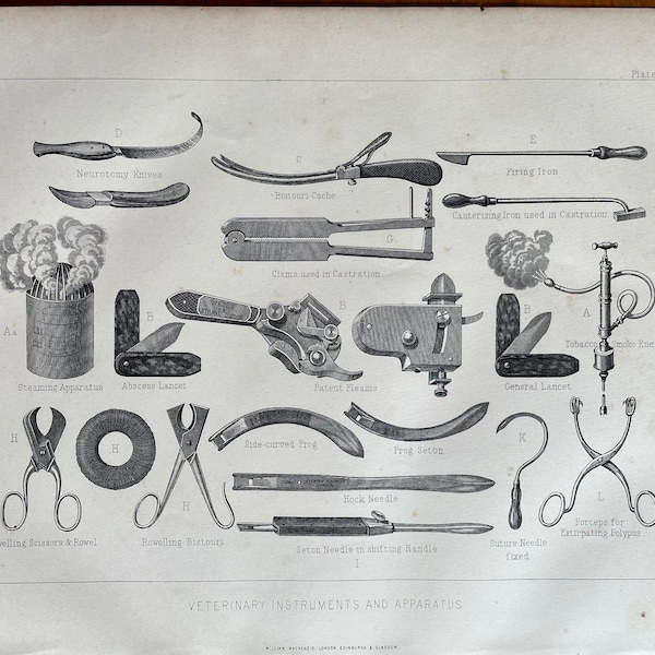 Decor Veterinary - Etsy