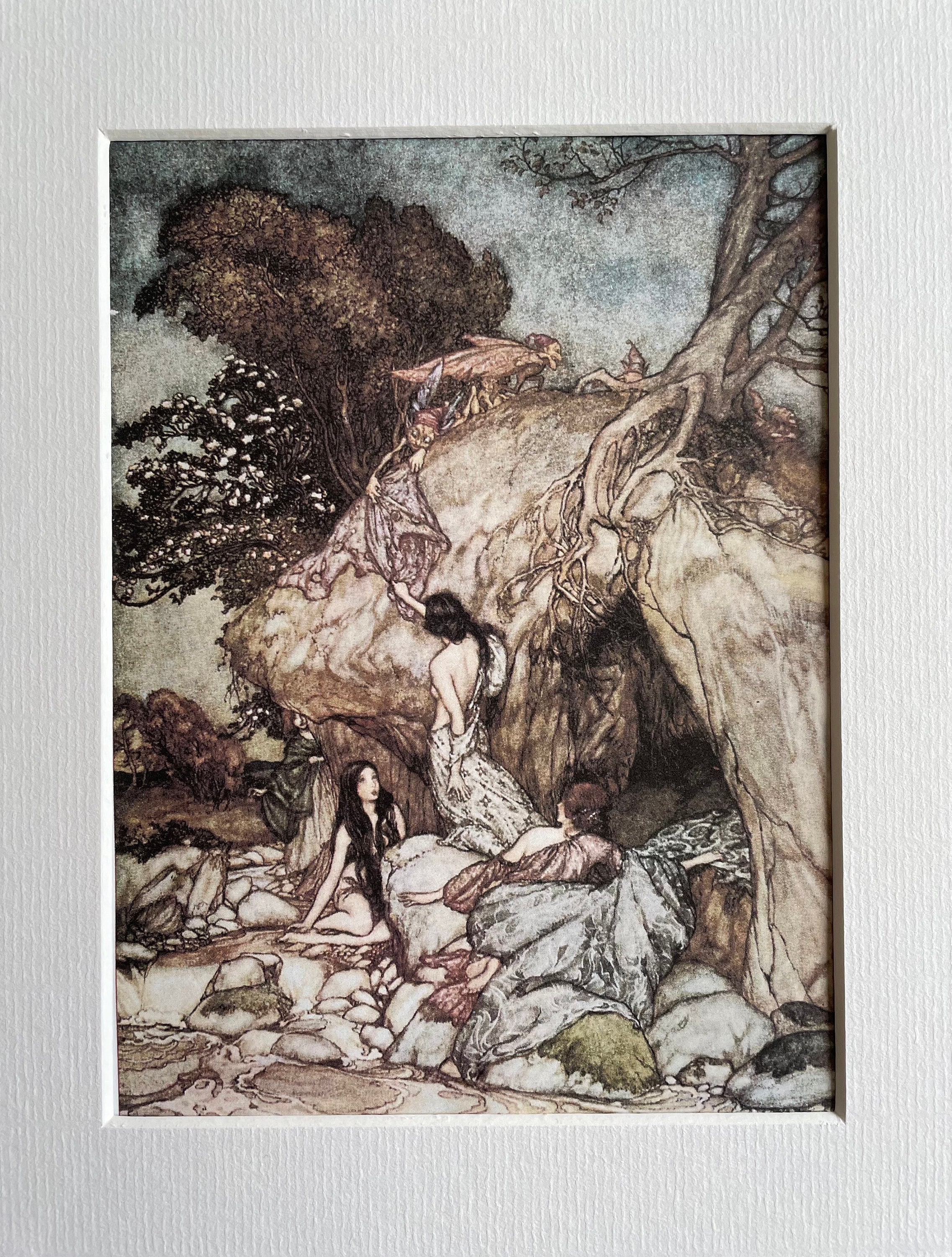 Arthur Rackham, Vintage Print, Book of Pictures, 1905, Large Mounted ...