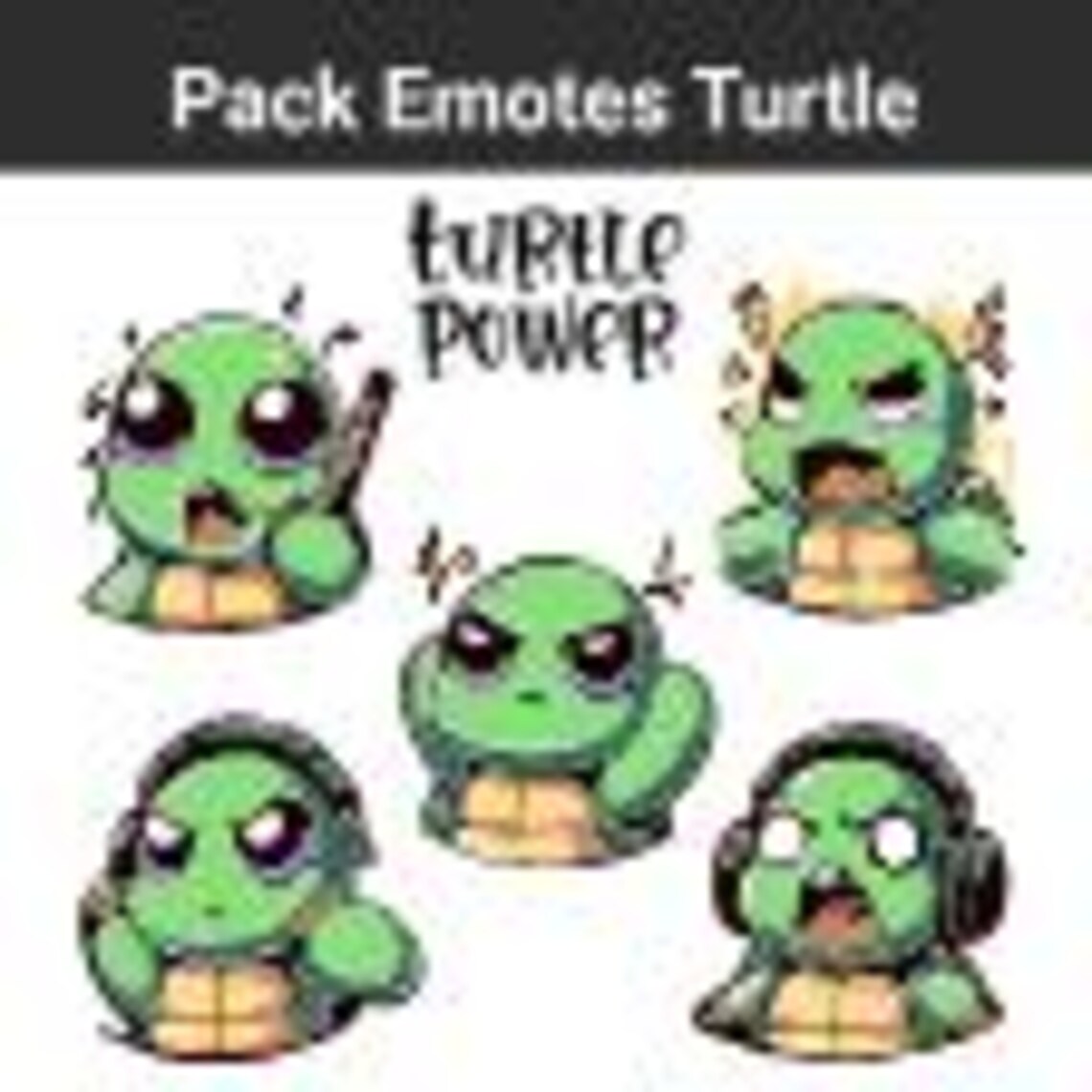 10 Turtle Emotes Twitch Youtube Facebook Kick Esports Discord Streamer ...