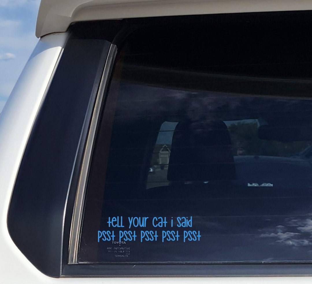 Tell Your Cat I Said Psst Psst Psst Vinyl Window Decal for Cars - Etsy