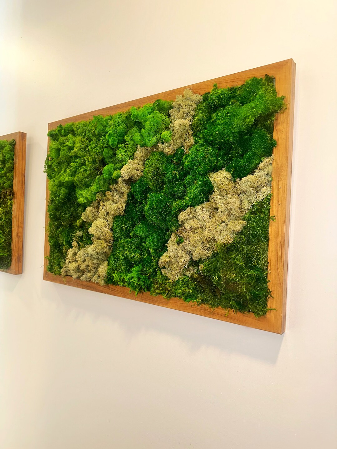 Moss Wall Art, Modern Decor, Moss Wall, Green Wall, Moss Art Decor ...