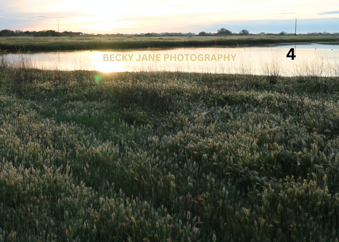 California Central Valley Landscape Photo Digital Download High ...