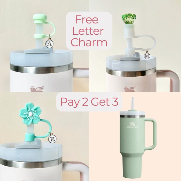 Stanley Matcha Cream Accessories - Etsy