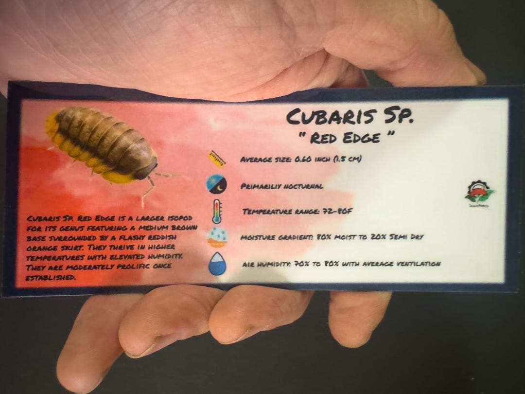 Isopod Bin Label- Cubaris Sp. Red Edge - Etsy