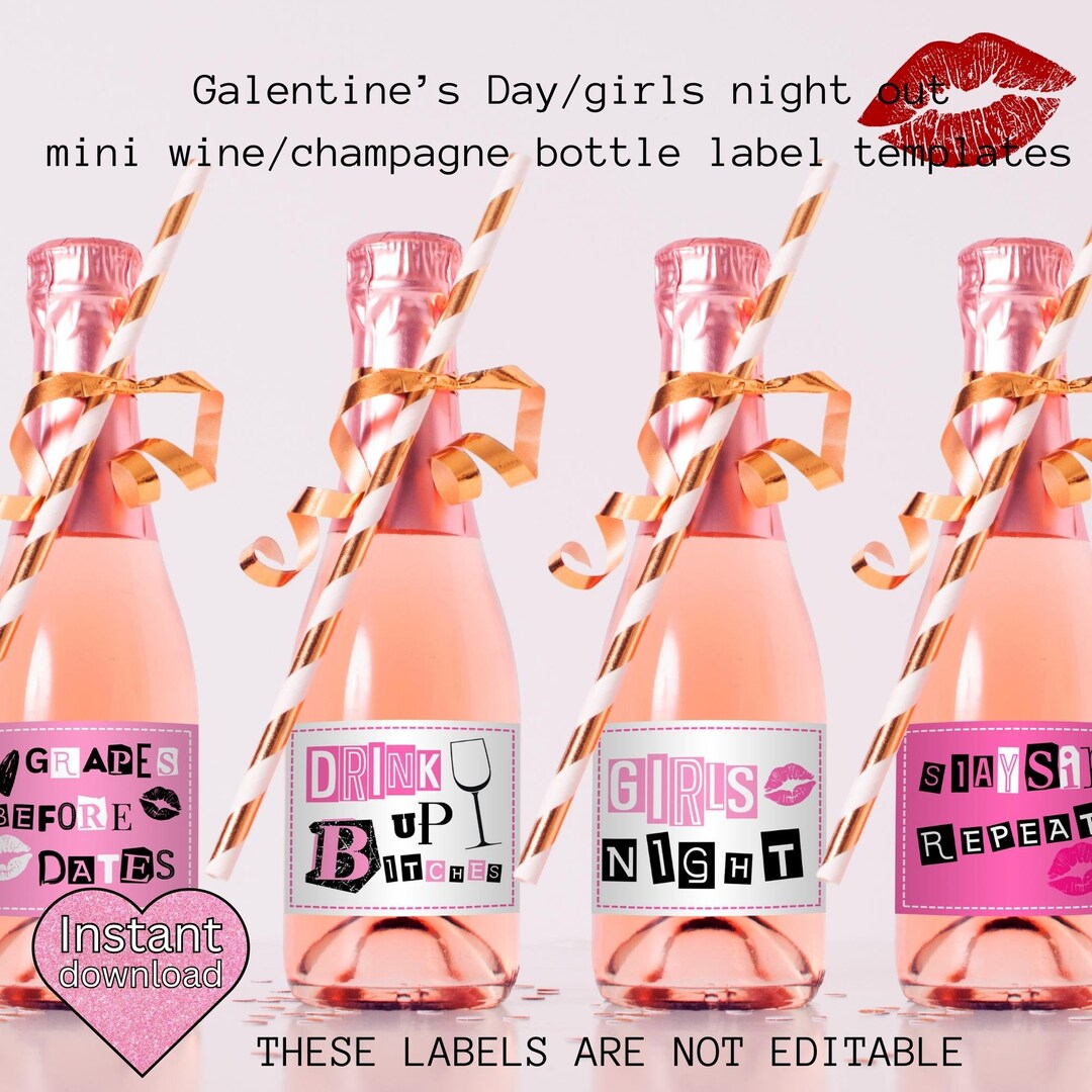 Galentine's Day Mini Wine Bottle Labels: Funny Girl's Night Out (PDF ...