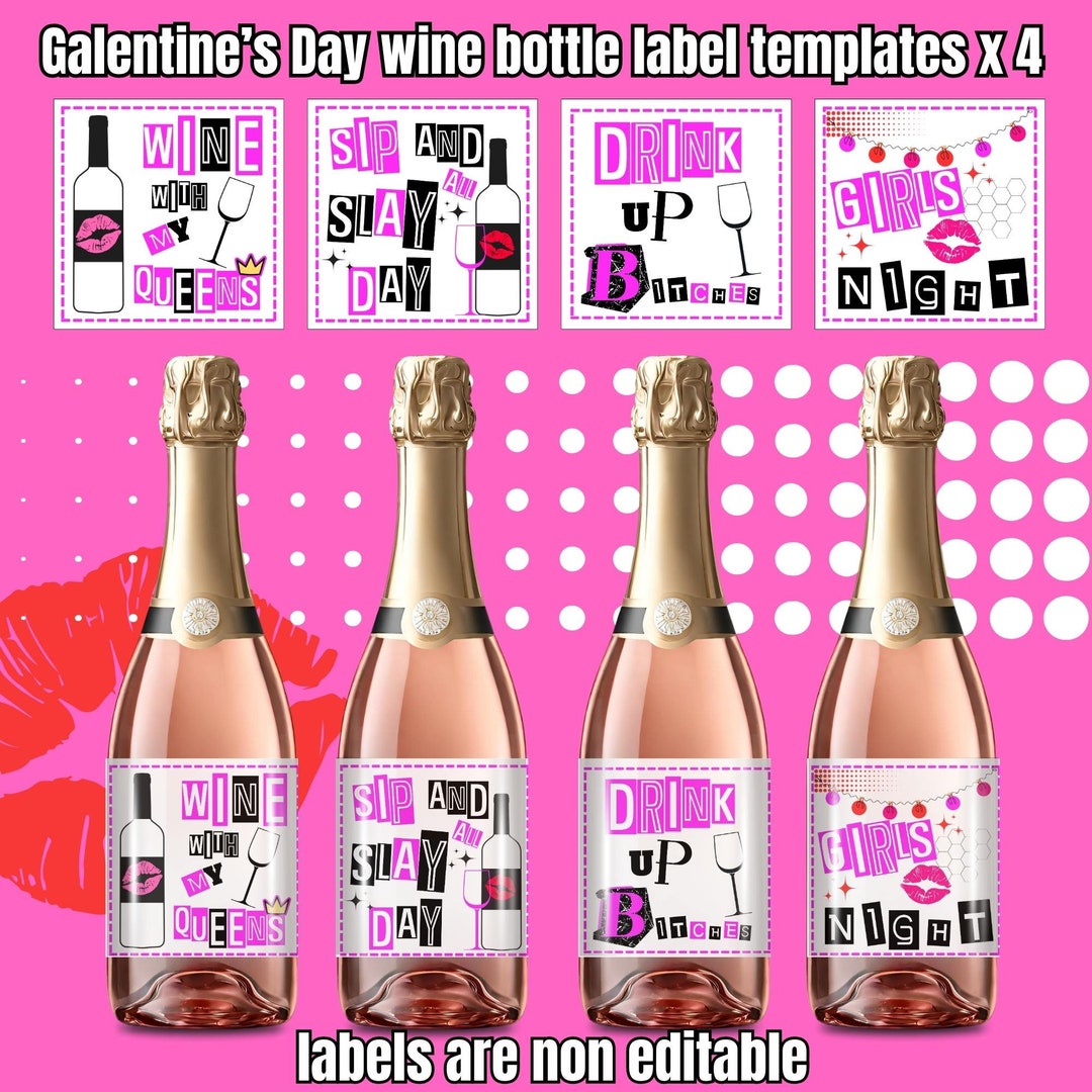 Galentine's Day Wine Bottle Labels: Funny Girls Night Out (printable ...