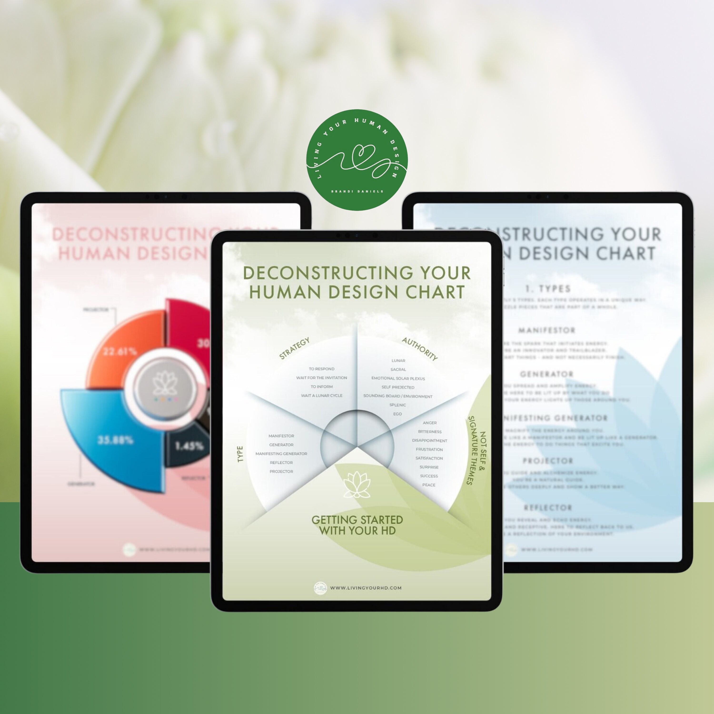 Breaking Down Your Human Design Chart (quick Reference) - Etsy