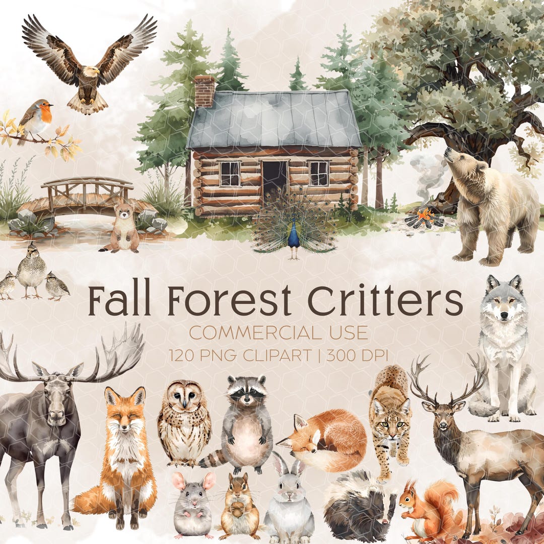 Watercolor Fall Animals Clipart: Forest PNG Bundle (digital Download ...