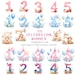 Watercolor Pink Numbers Clipart: 10 Hand-painted Baby Milestone (PNG ...