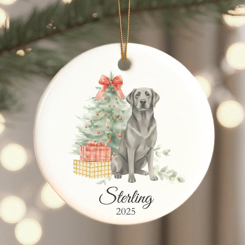 Silver Holiday Decor - Etsy
