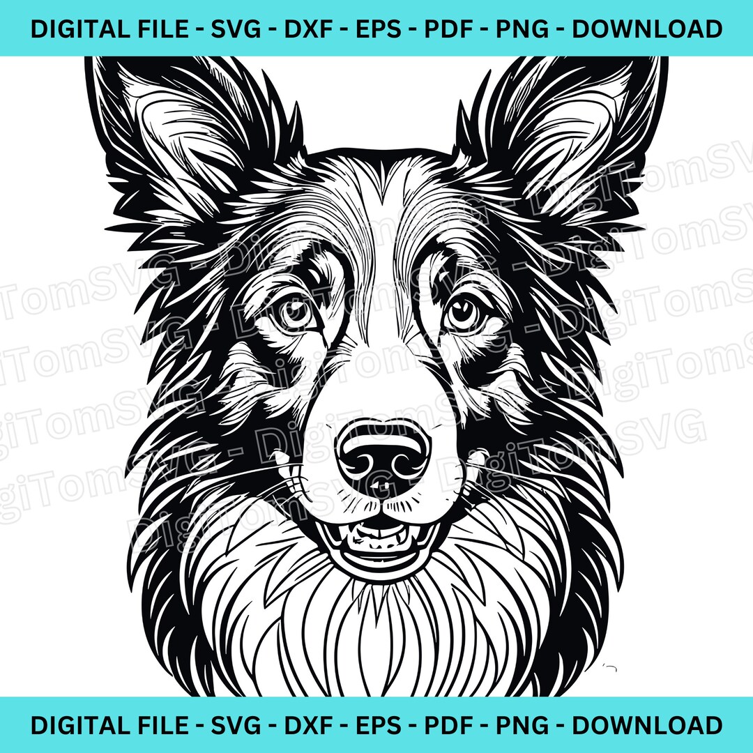 Border Collie Dog Face PNG for Engraving Dog-themed DIY Projects Collie ...