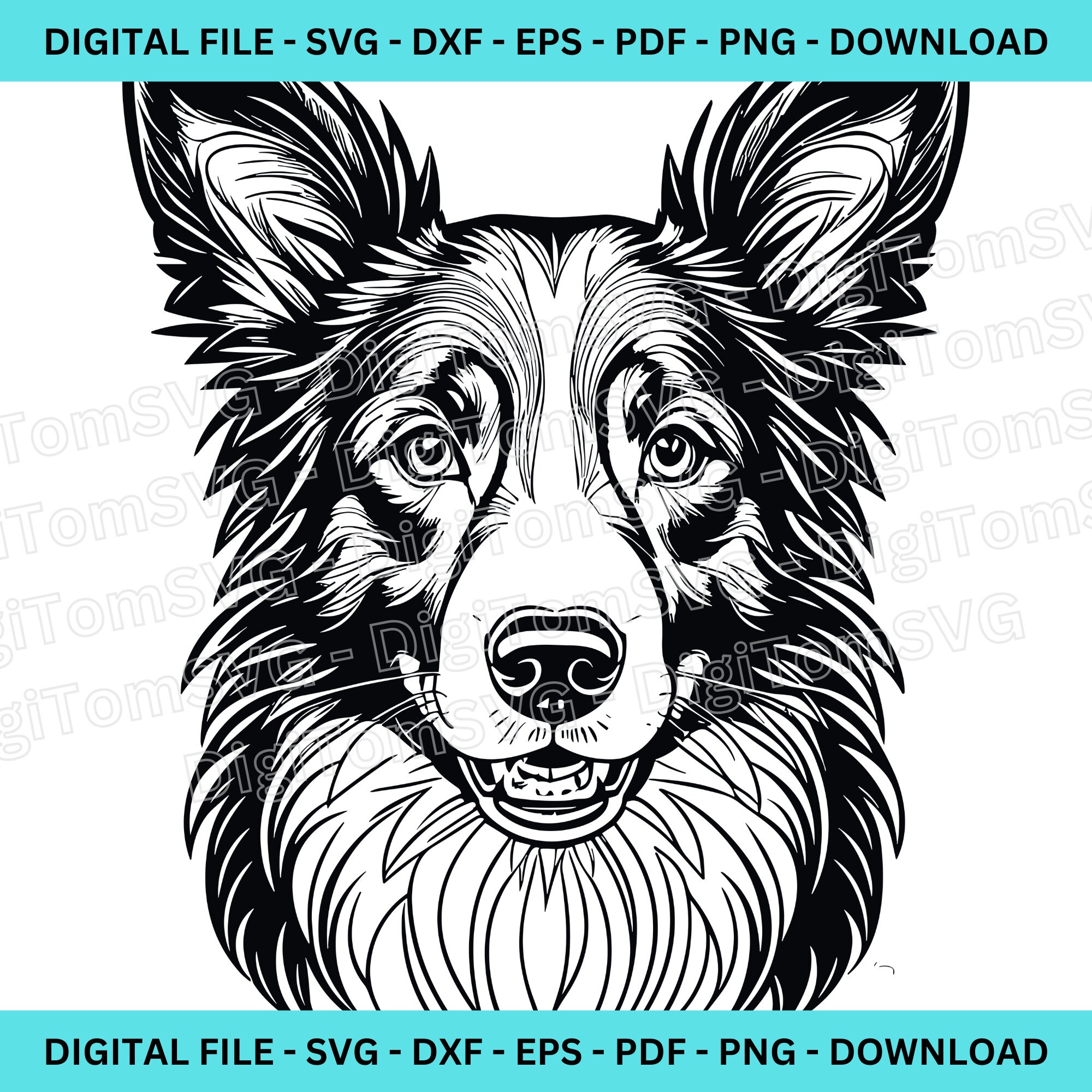 Border Collie Dog Face PNG for Engraving Dog-themed DIY Projects Collie ...