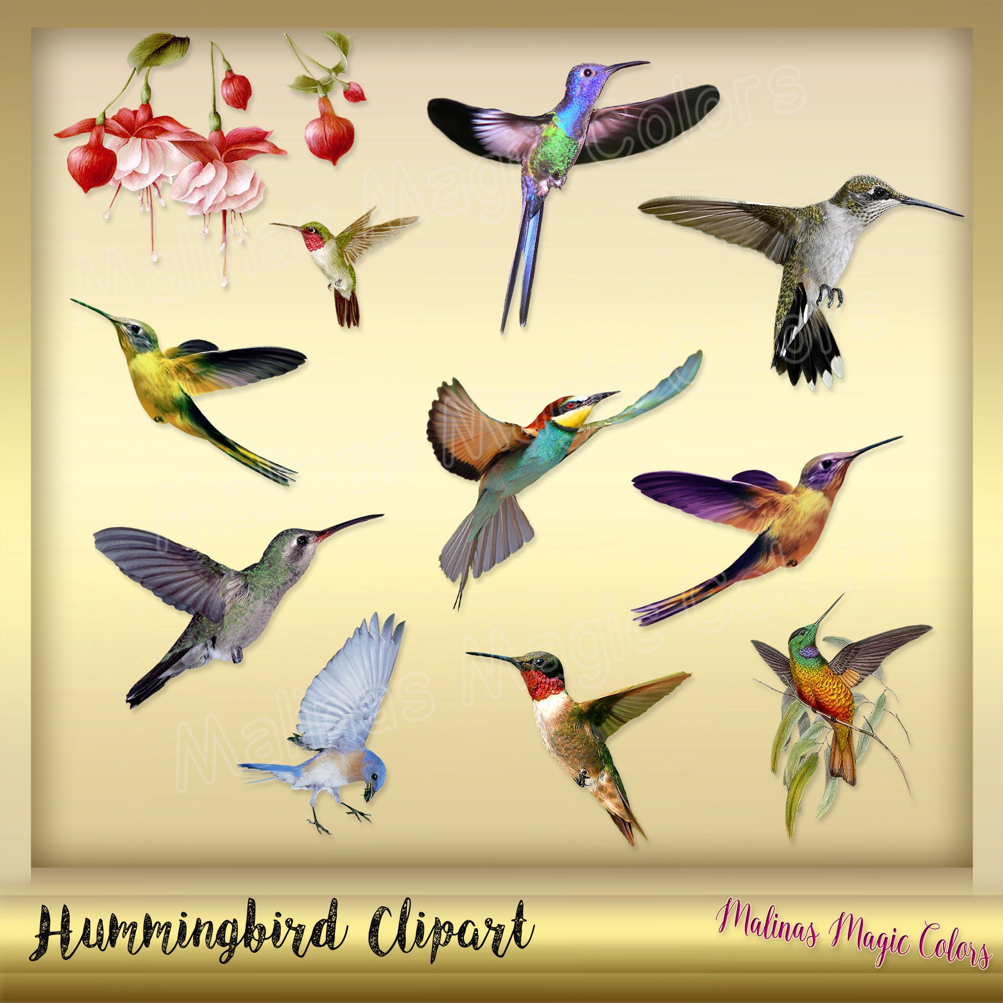 25 Hummingbird Clipart - Birds Clipart - Humming Birds Clip Art ...