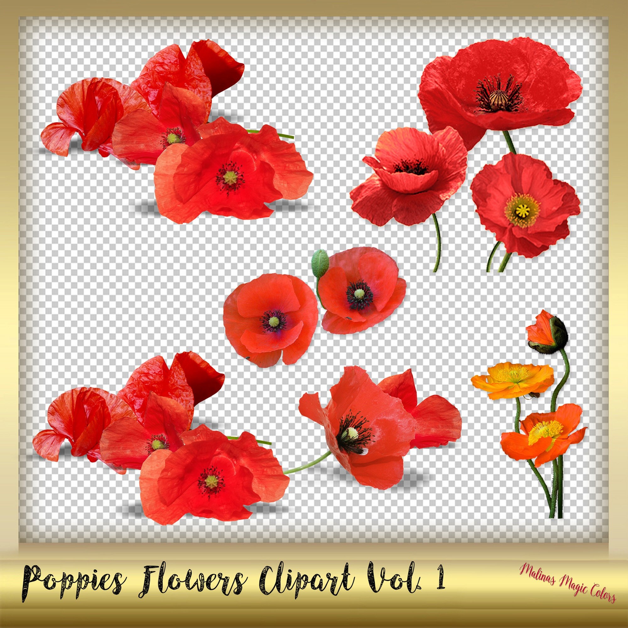 Poppies Flowers Clipart Poppies Clip Art Poppy Clipart Field Flower ...