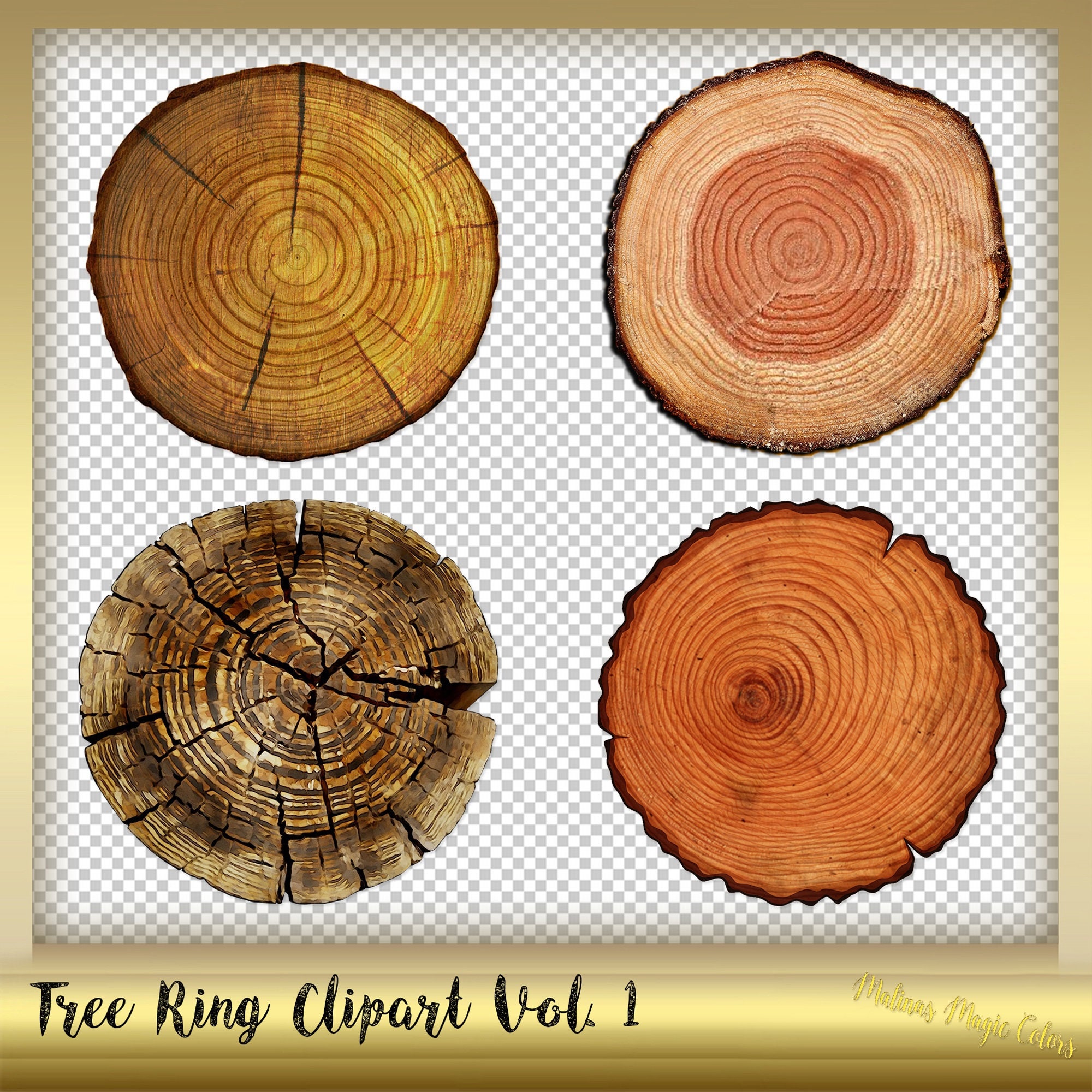 12 Tree Ring Clip Art Vol. 1 - Tree Ring Clipart - Tree Wood Slices ...