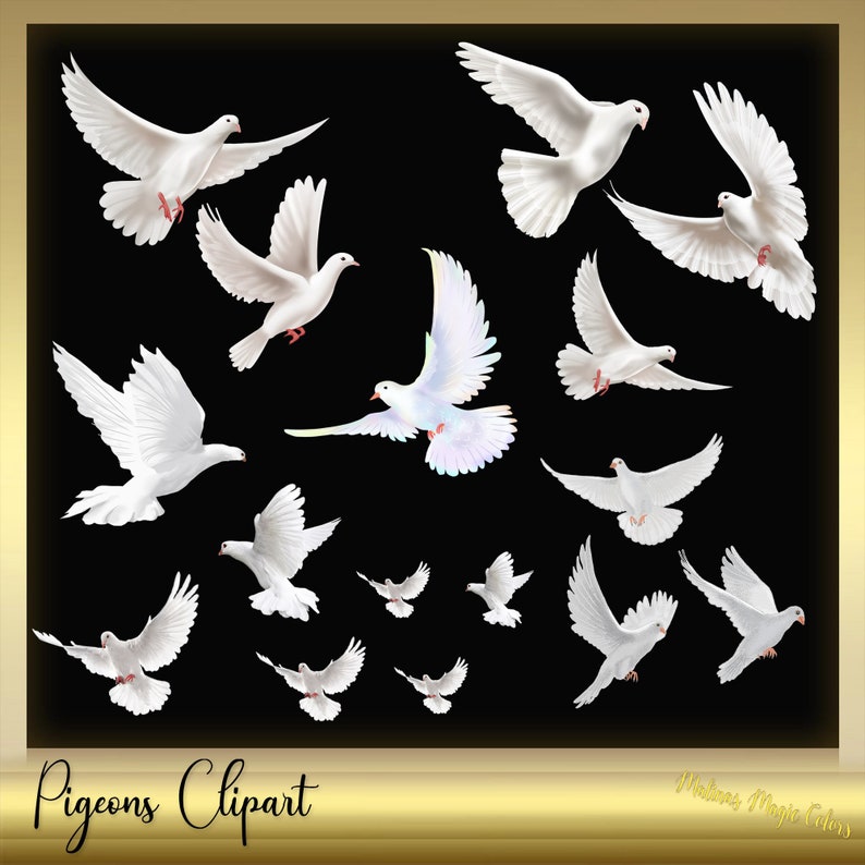 Pigeons Clipart - Pigeon Clipart - Pigeon Overlays - Flying Pigeons ...