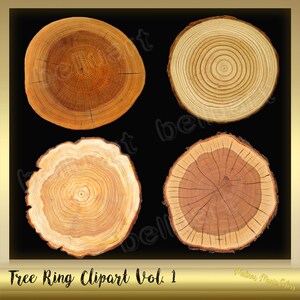 12 Tree Ring Clip Art Vol. 1 - Tree Ring Clipart - Tree Wood Slices ...