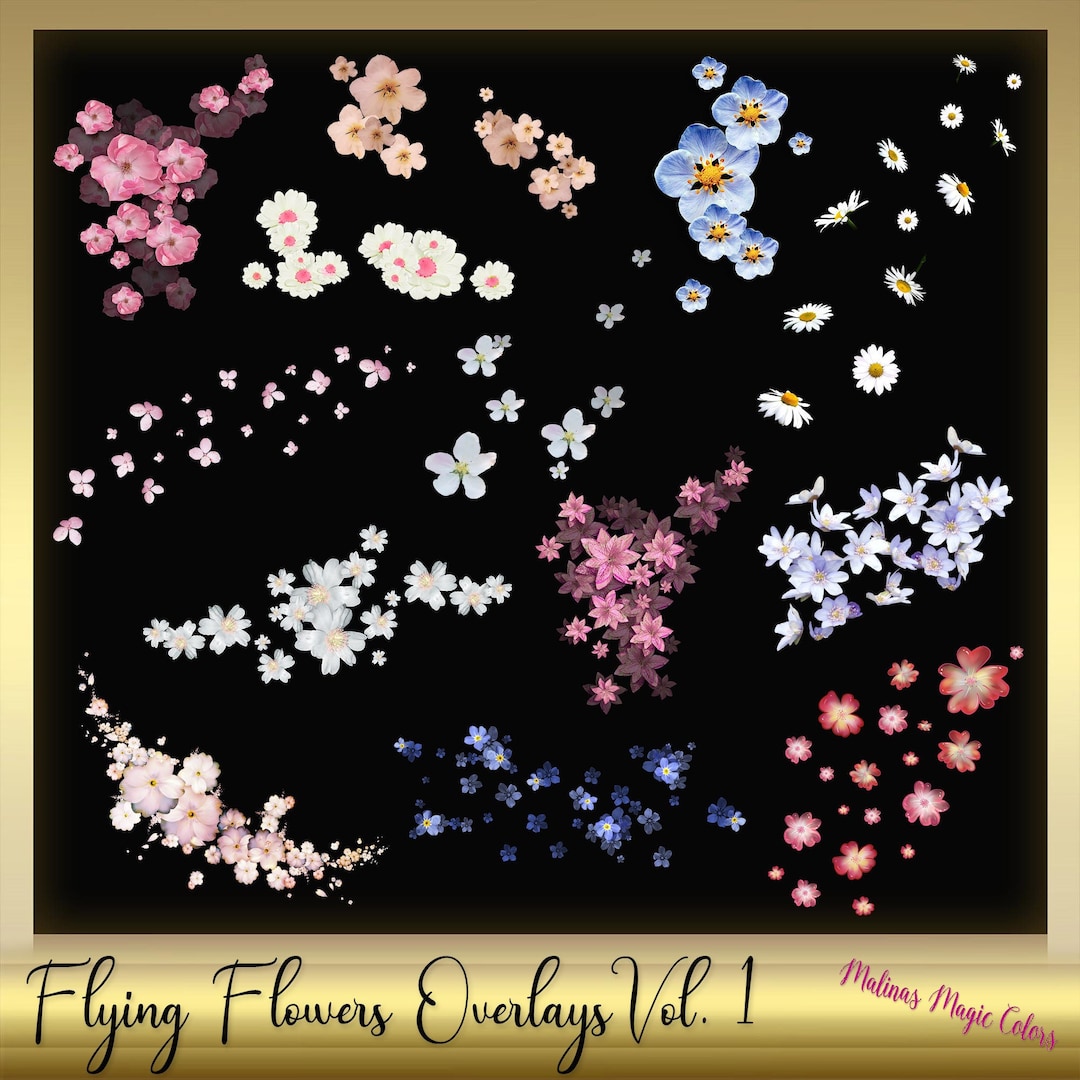 30 Flying Flowers Overlays Flying Flower Clip Art Dynamic Flowers ...
