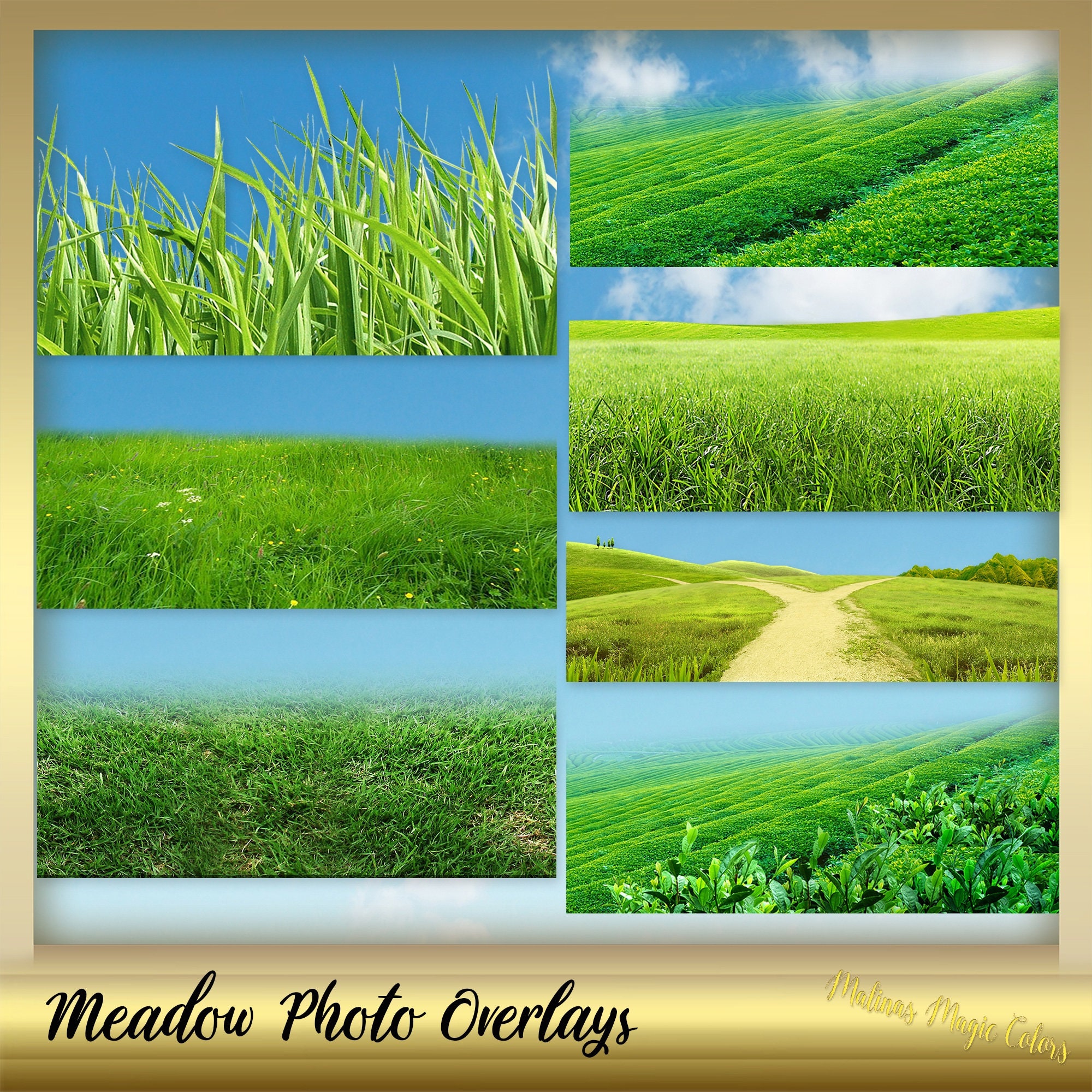 17 Meadow Photo Overlays - Meadow Overlay - Meadow Layer - Grass Photo ...