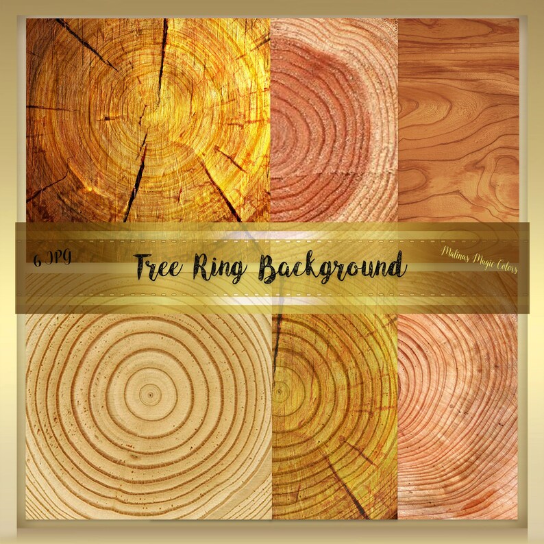 Tree Ring Background Tree Ring Texture Growth Rings Background Instant ...