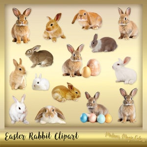 Easter Rabbit Clipart - Easter Bunny Clipart- Easter Clipart - Instant ...