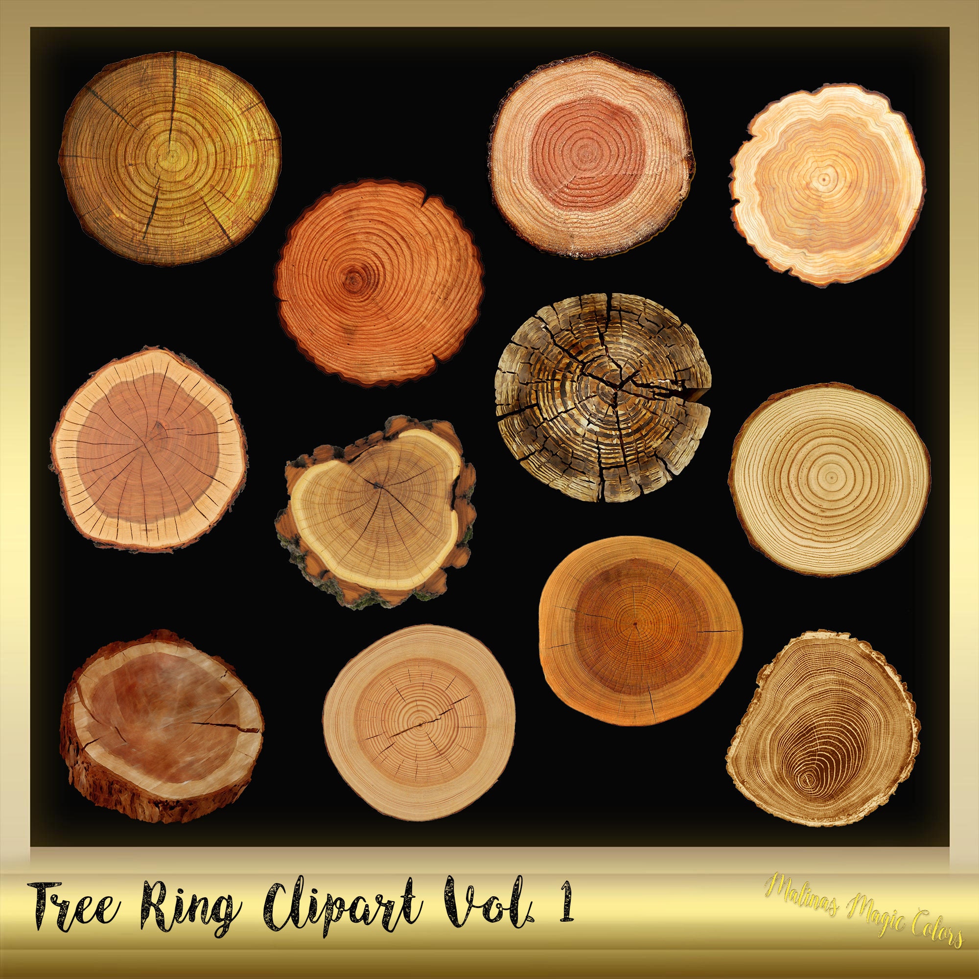 12 Tree Ring Clip Art Vol. 1 - Tree Ring Clipart - Tree Wood Slices ...