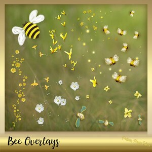 Bee Overlays - Bee Overlay - Photo Overlays - Photoshop Layers - Yellow ...