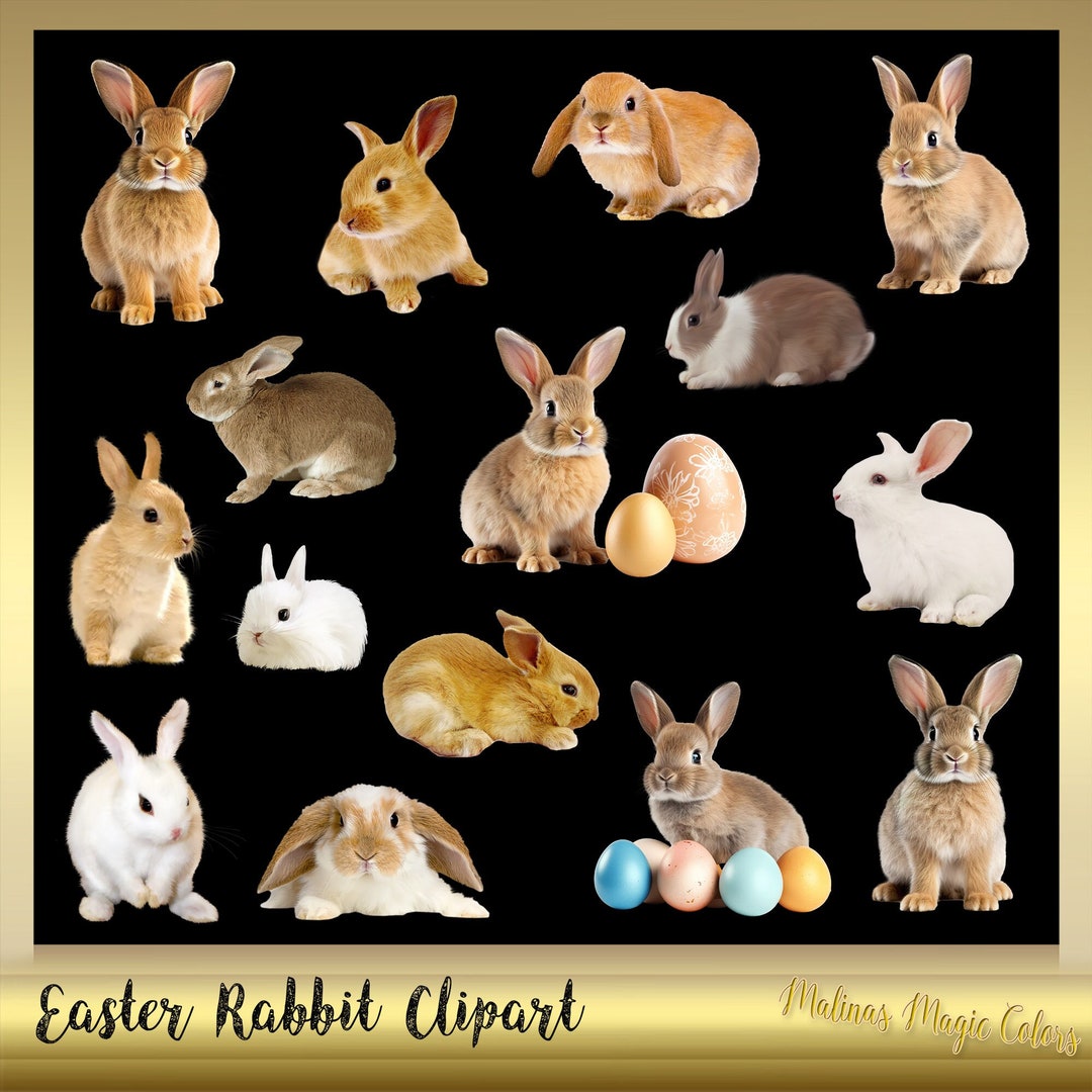 Easter Rabbit Clipart - Easter Bunny Clipart- Easter Clipart - Instant ...