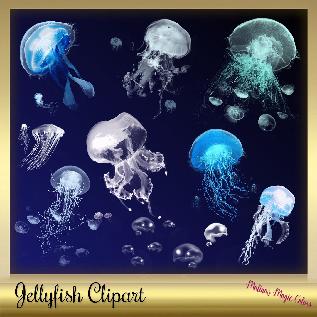 12 Jellyfish Clip Art - Jellyfish Overlay - Transparent Jellyfish ...