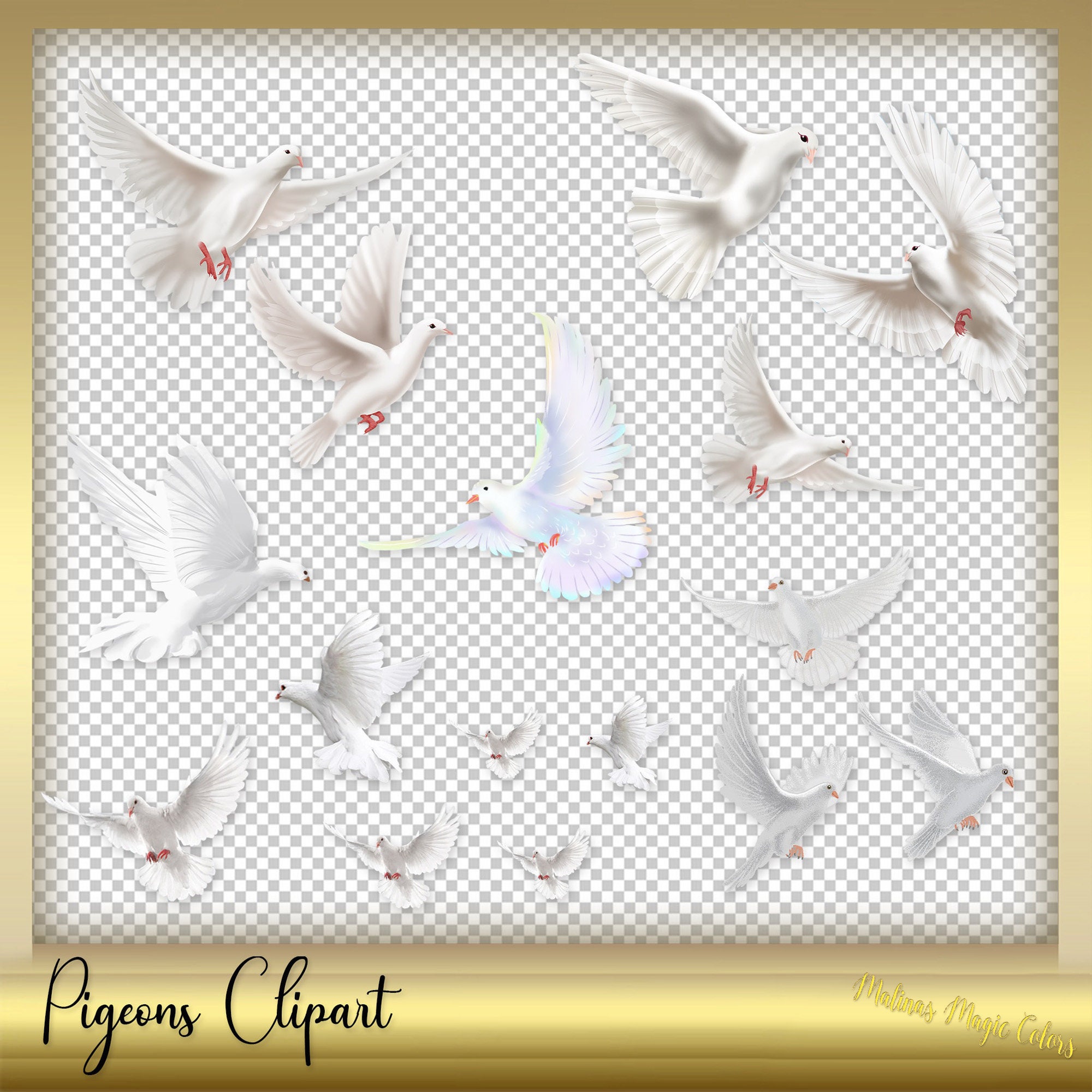 Pigeons Clipart Pigeon Clipart Pigeon Overlays Flying Pigeons Dove ...