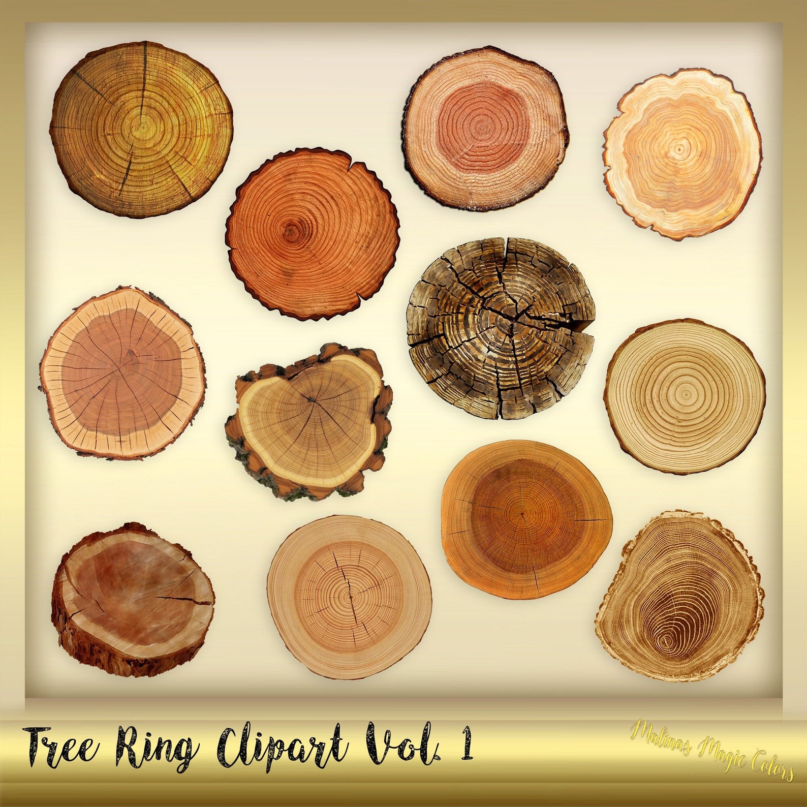 12 Tree Ring Clip Art Vol. 1 - Tree Ring Clipart - Tree Wood Slices ...