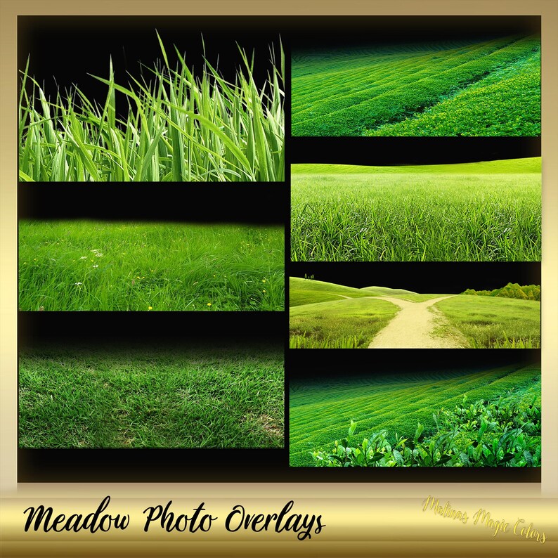 17 Meadow Photo Overlays - Meadow Overlay - Meadow Layer - Grass Photo ...