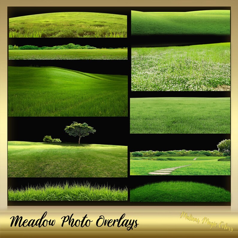 17 Meadow Photo Overlays - Meadow Overlay - Meadow Layer - Grass Photo ...