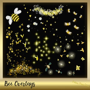 Bee Overlays - Bee Overlay - Photo Overlays - Photoshop Layers - Yellow ...