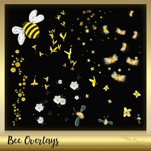 Bee Overlays - Bee Overlay - Photo Overlays - Photoshop Layers - Yellow ...