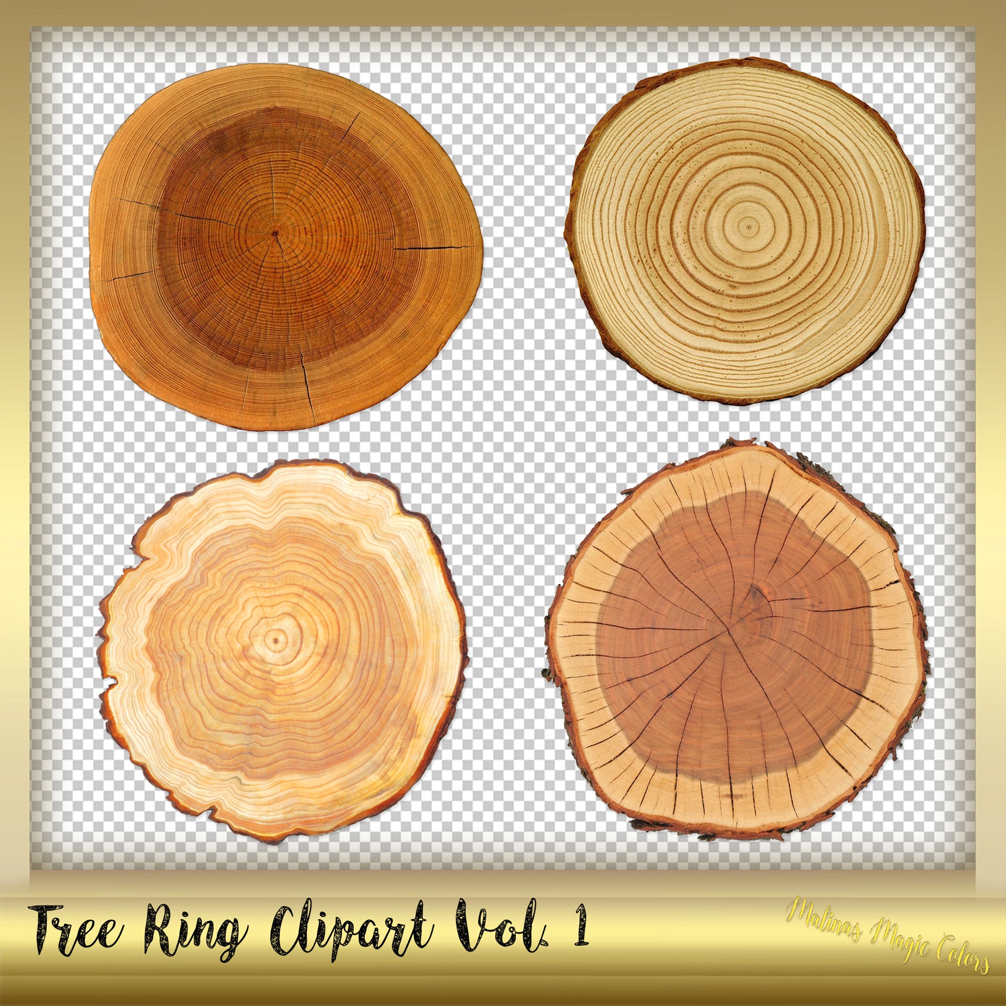 12 Tree Ring Clip Art Vol. 1 Tree Ring Clipart Tree Wood - Etsy