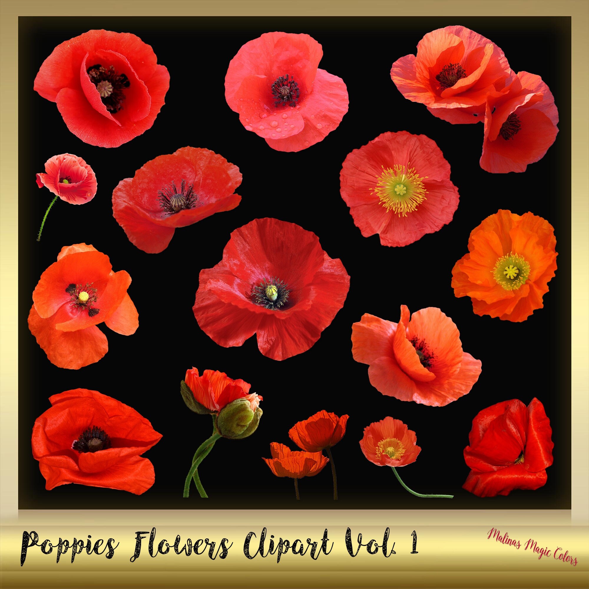 Poppies Flowers Clipart Poppies Clip Art Poppy Clipart Field Flower ...