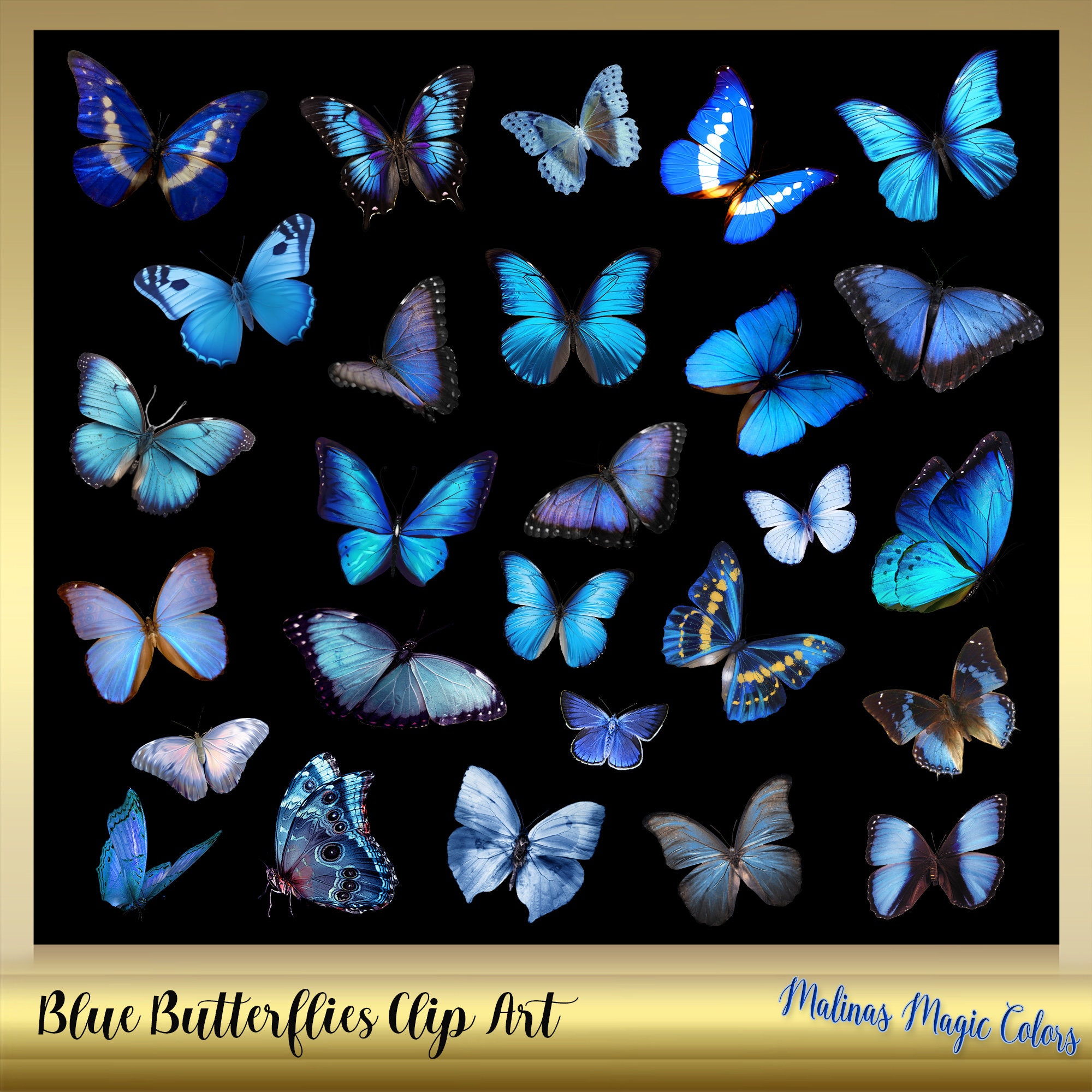 Blue Butterflies Clip Art - Butterfly Overlays - Real Butterflies ...