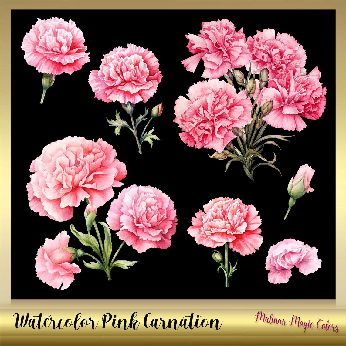 Watercolor Pink Carnation Clipart - Carnation Flower Clipart - Mothers ...