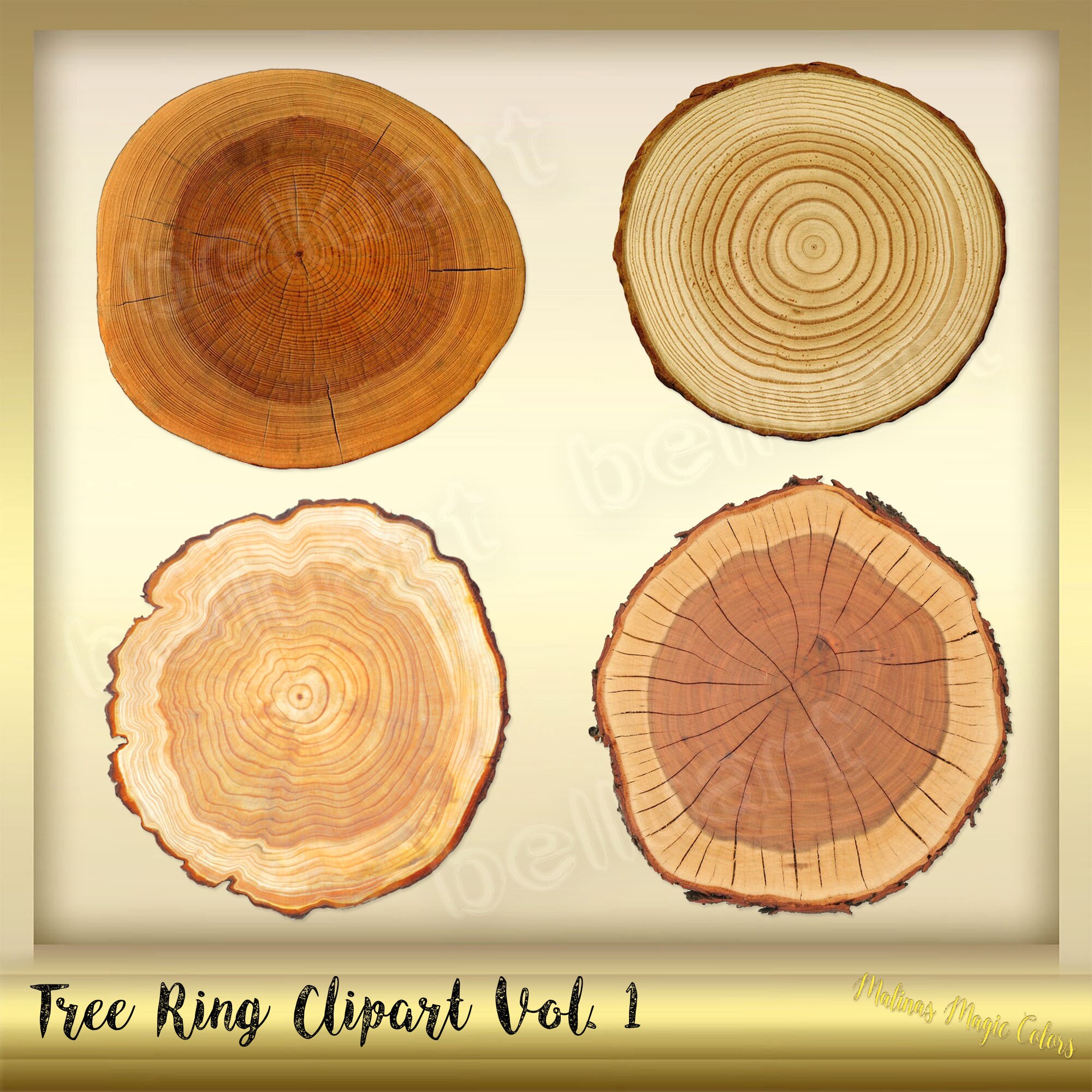 12 Tree Ring Clip Art Vol. 1 - Tree Ring Clipart - Tree Wood Slices ...