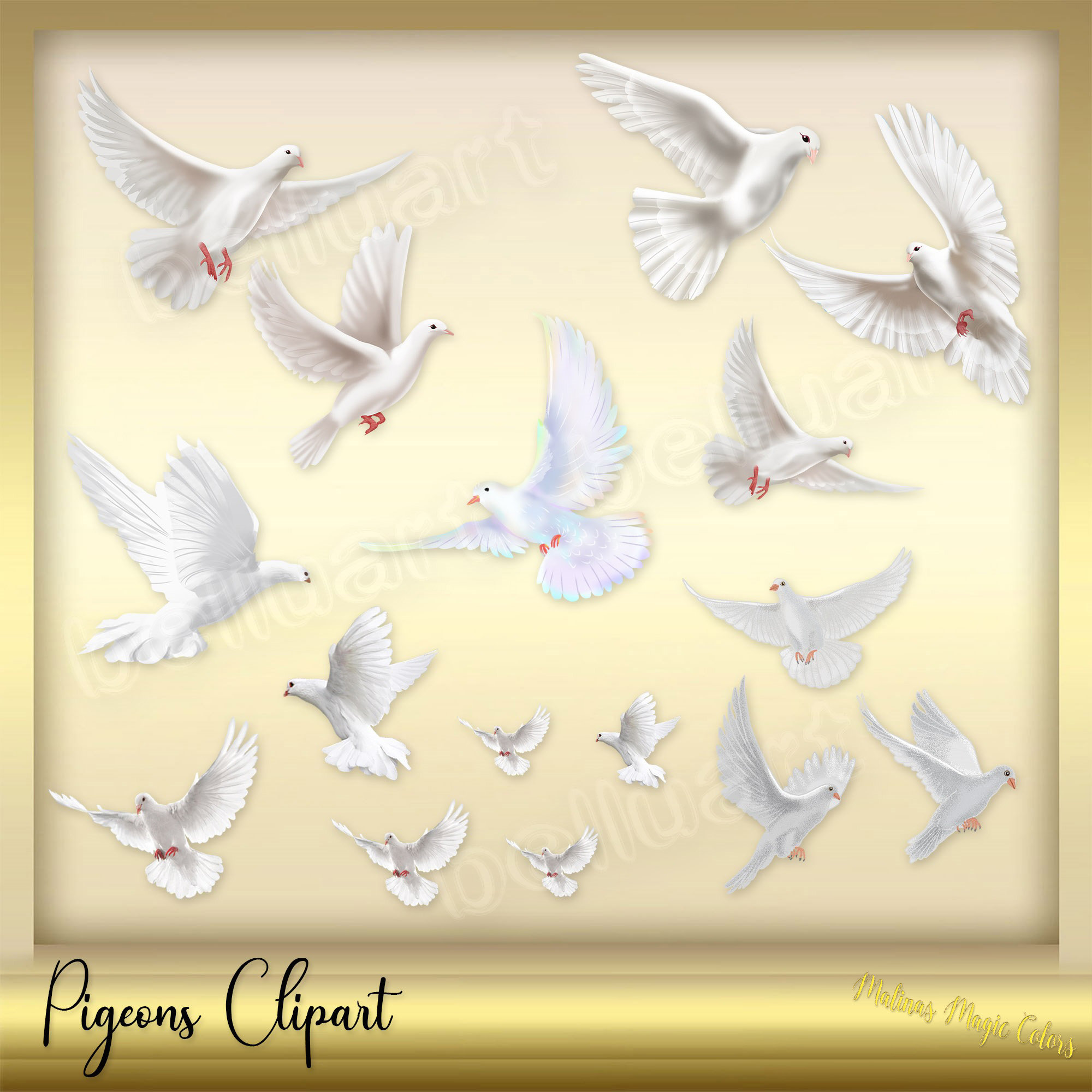 Pigeons Clipart Pigeon Clipart Pigeon Overlays Flying Pigeons Dove ...