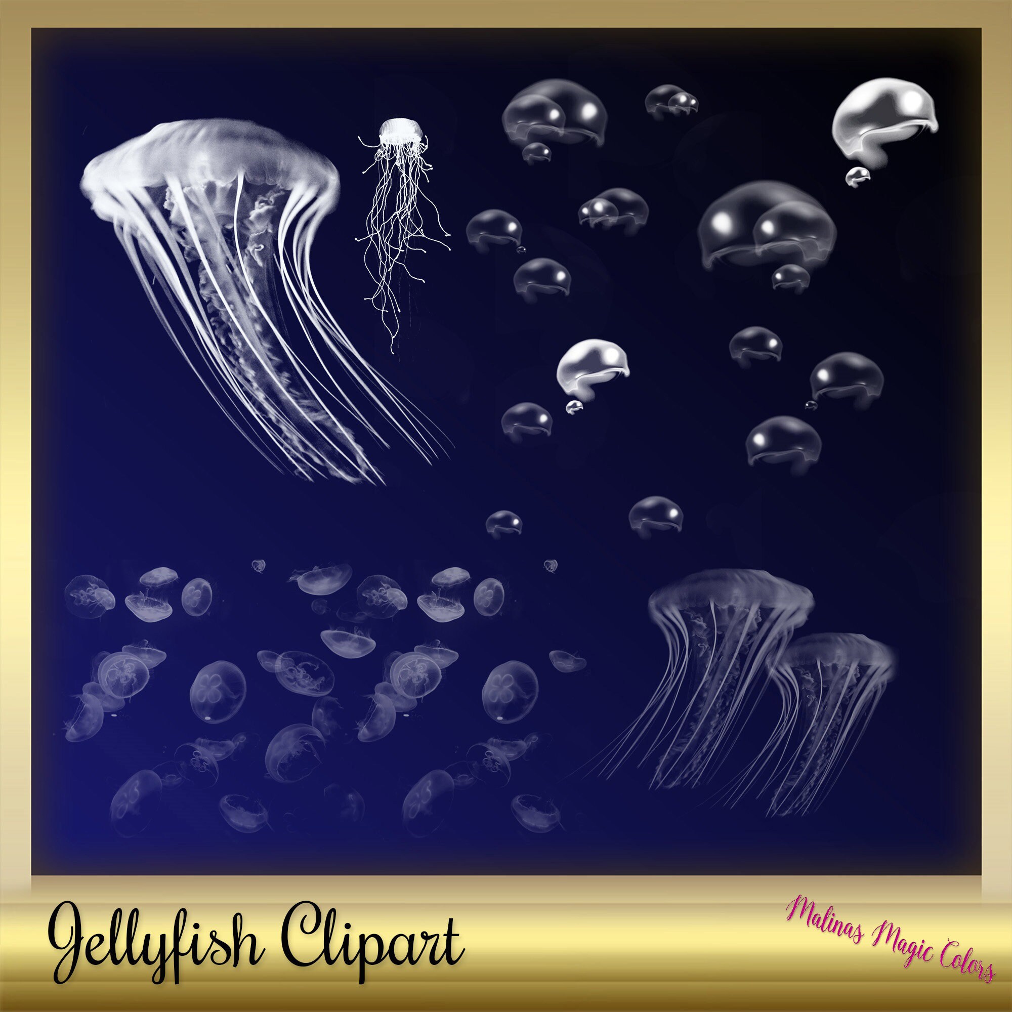 12 Jellyfish Clip Art Jellyfish Overlay Transparent Jellyfish ...
