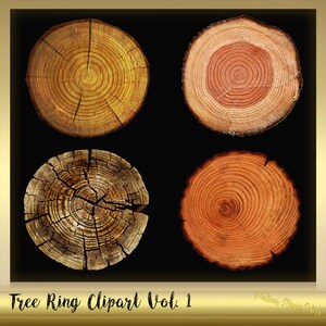 12 Tree Ring Clip Art Vol. 1 - Tree Ring Clipart - Tree Wood Slices ...