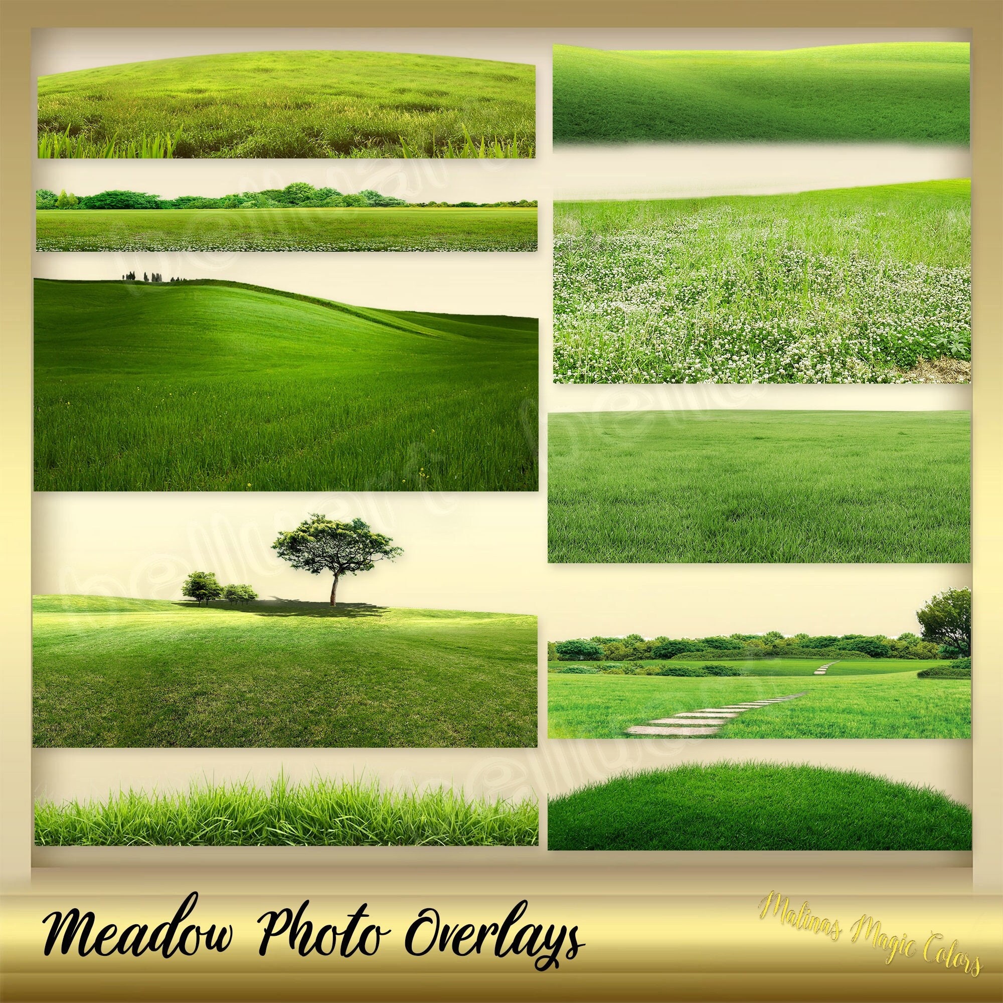 17 Meadow Photo Overlays - Meadow Overlay - Meadow Layer - Grass Photo ...