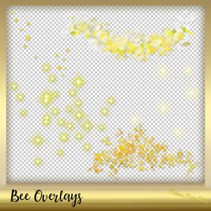 Bee Overlays - Bee Overlay - Photo Overlays - Photoshop Layers - Yellow ...