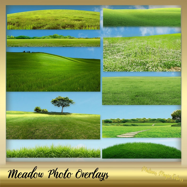 17 Meadow Photo Overlays - Meadow Overlay - Meadow Layer - Grass Photo ...