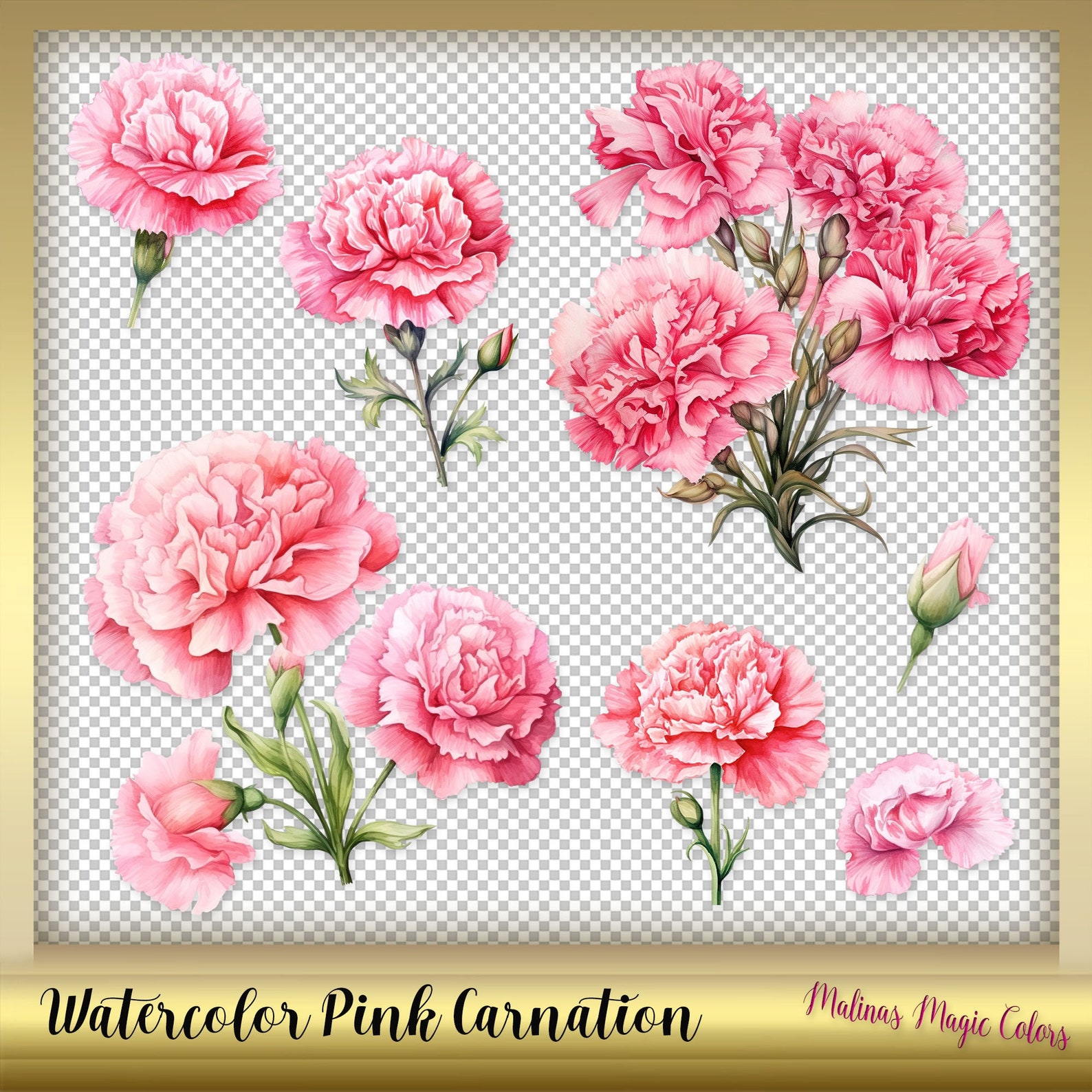 Watercolor Pink Carnation Clipart - Carnation Flower Clipart - Mothers ...
