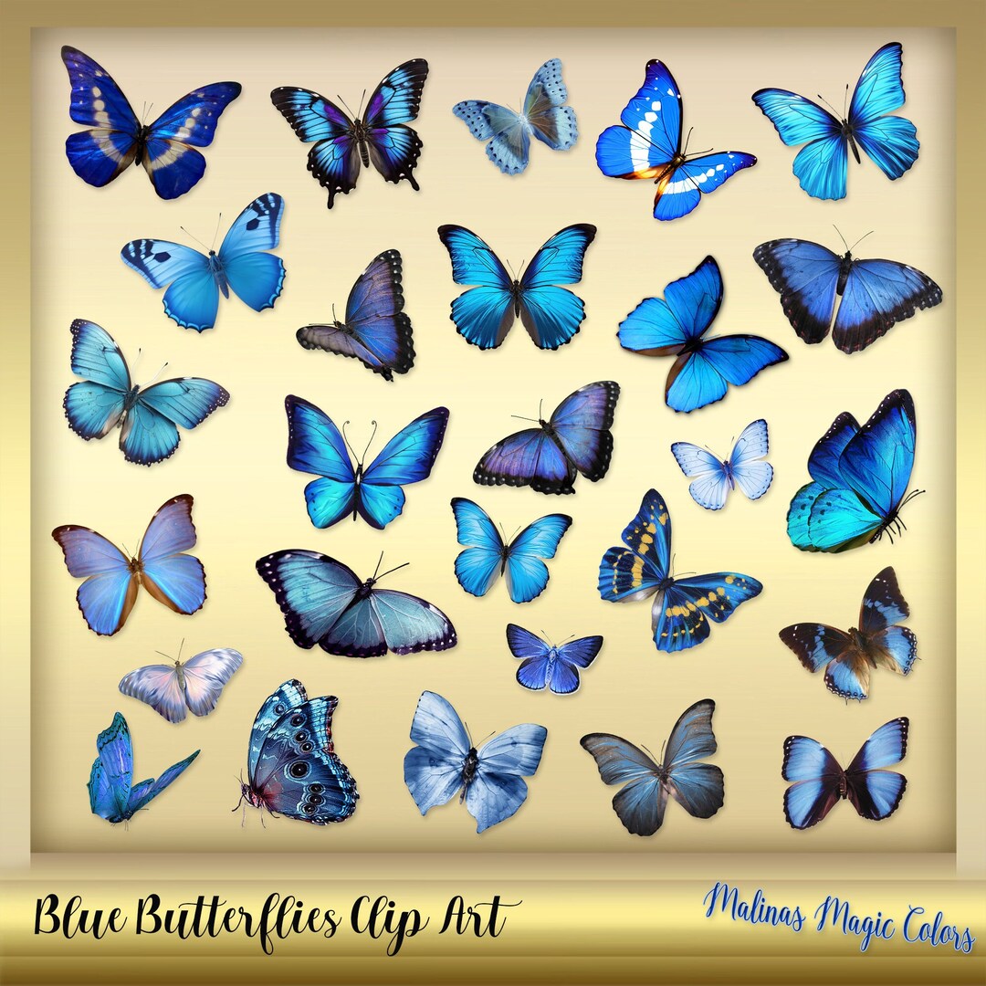 Blue Butterflies Clip Art - Butterfly Overlays - Real Butterflies ...