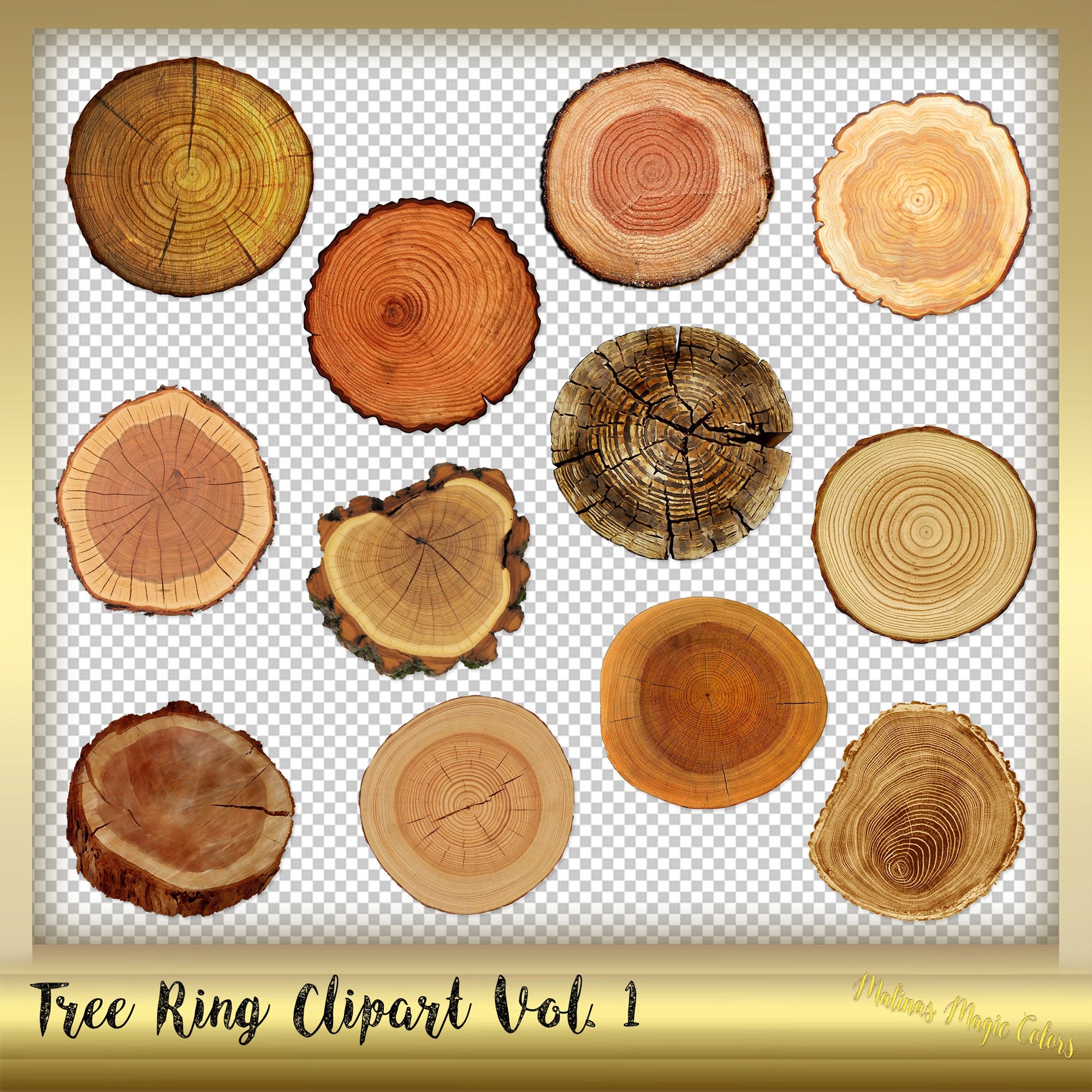 12 Tree Ring Clip Art Vol. 1 - Tree Ring Clipart - Tree Wood Slices ...