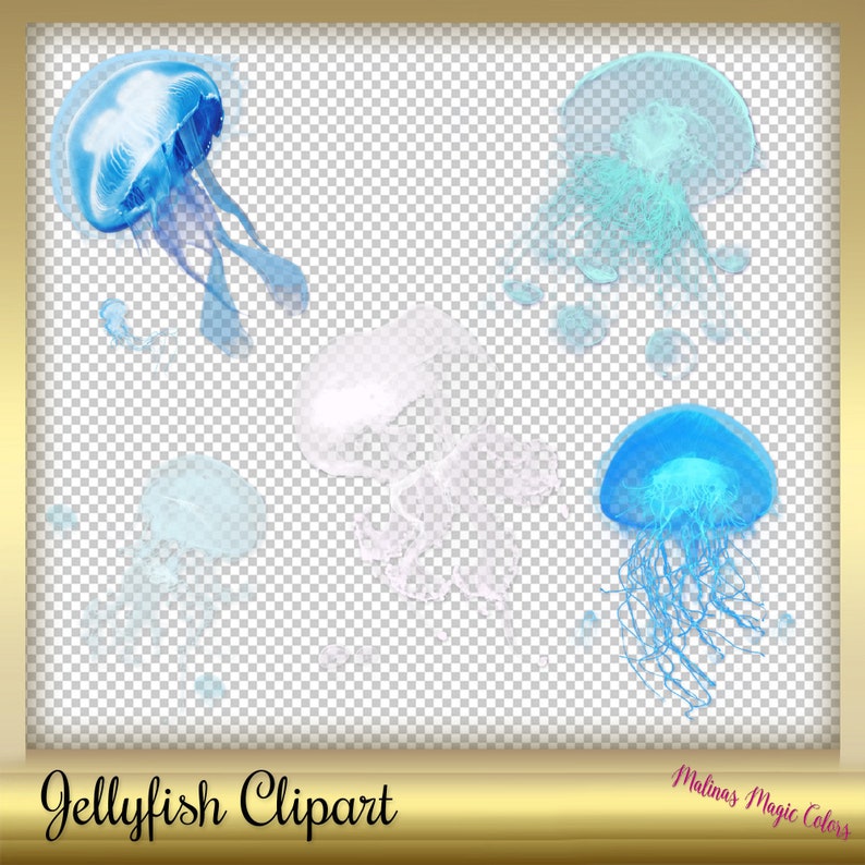 12 Jellyfish Clip Art Jellyfish Overlay Transparent Jellyfish ...